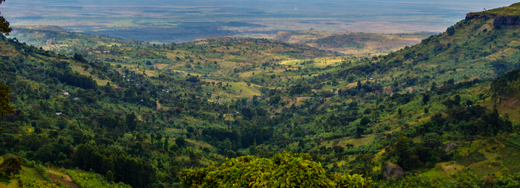 About us – Asmara coffee